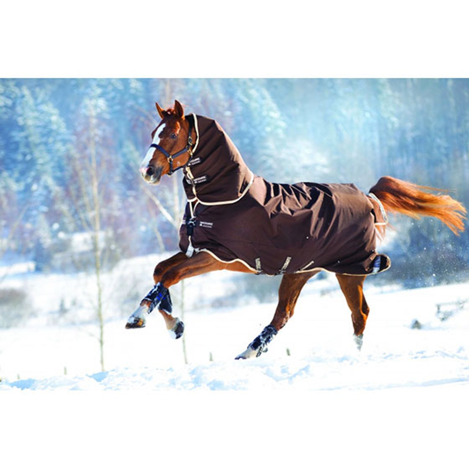 Rambo Duo Turnout Rug, 100 g con cuello desmontable y 100 g + 300 g Un ...