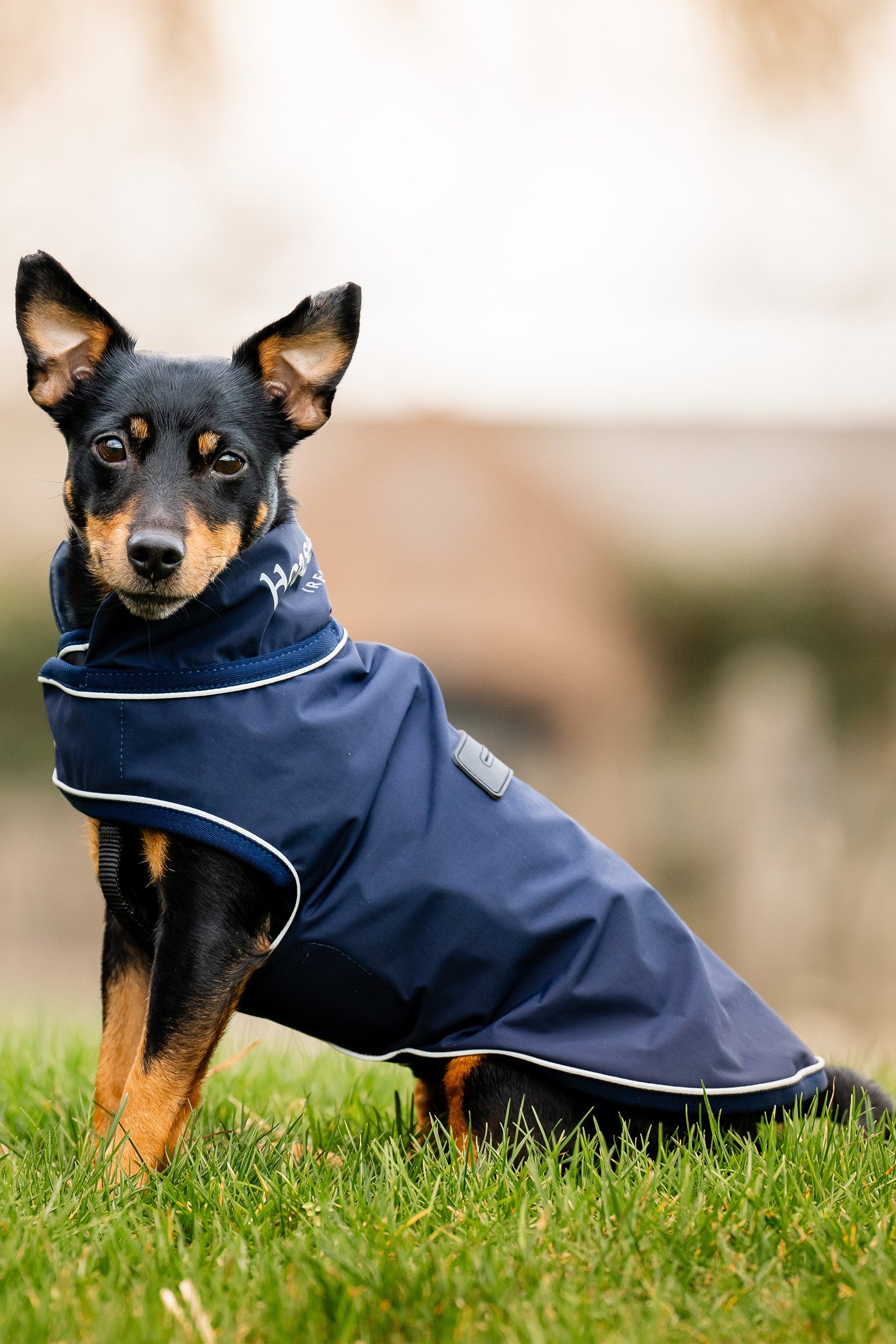 Signature Dog Rain Coat – horze
