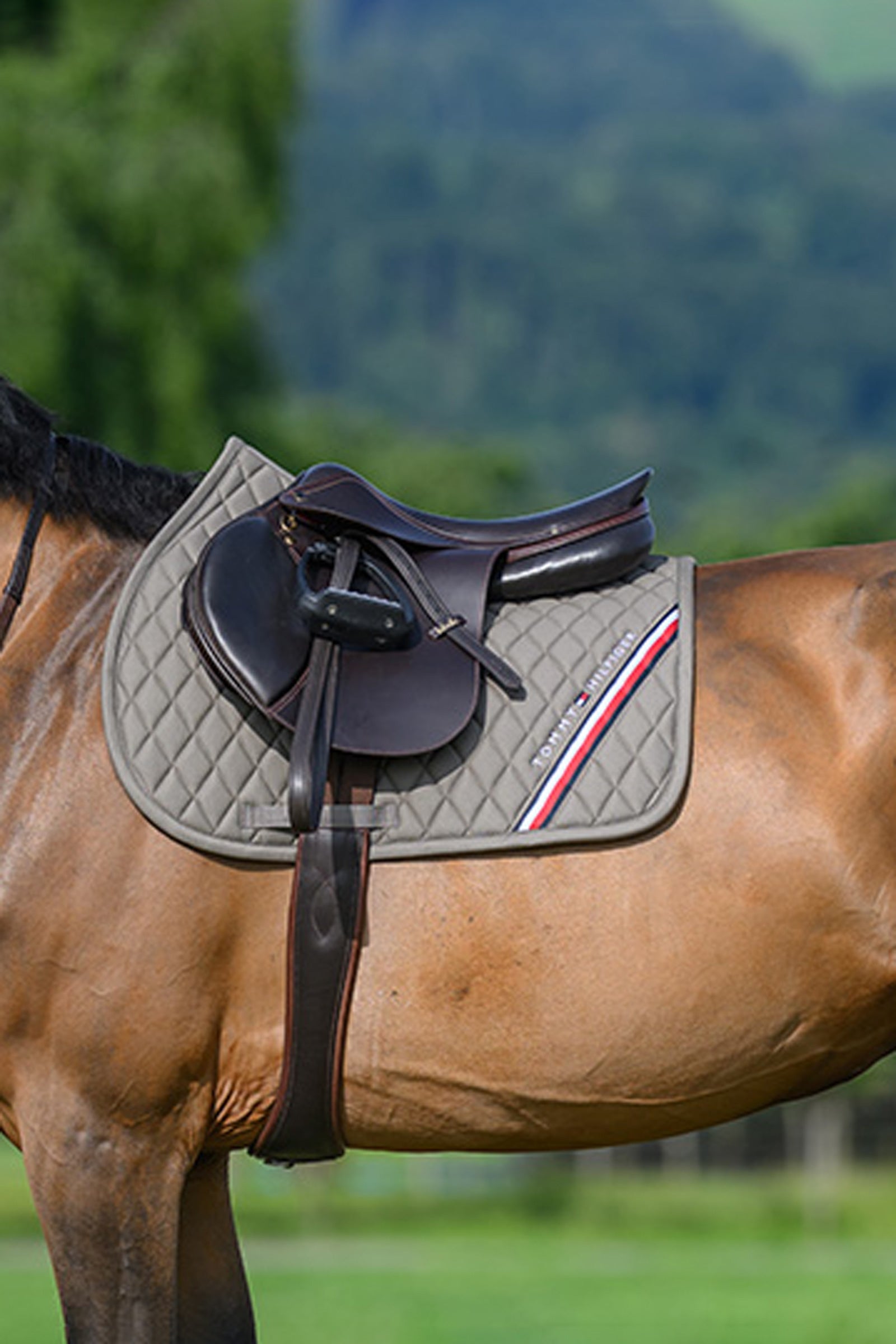 Stanford Jumping Saddlepad Ash F – horze